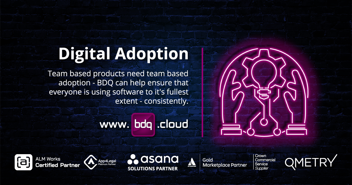 Digital Adoption Services | BDQ