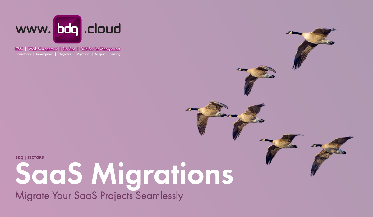 Sectors | SaaS Migrations | BDQ